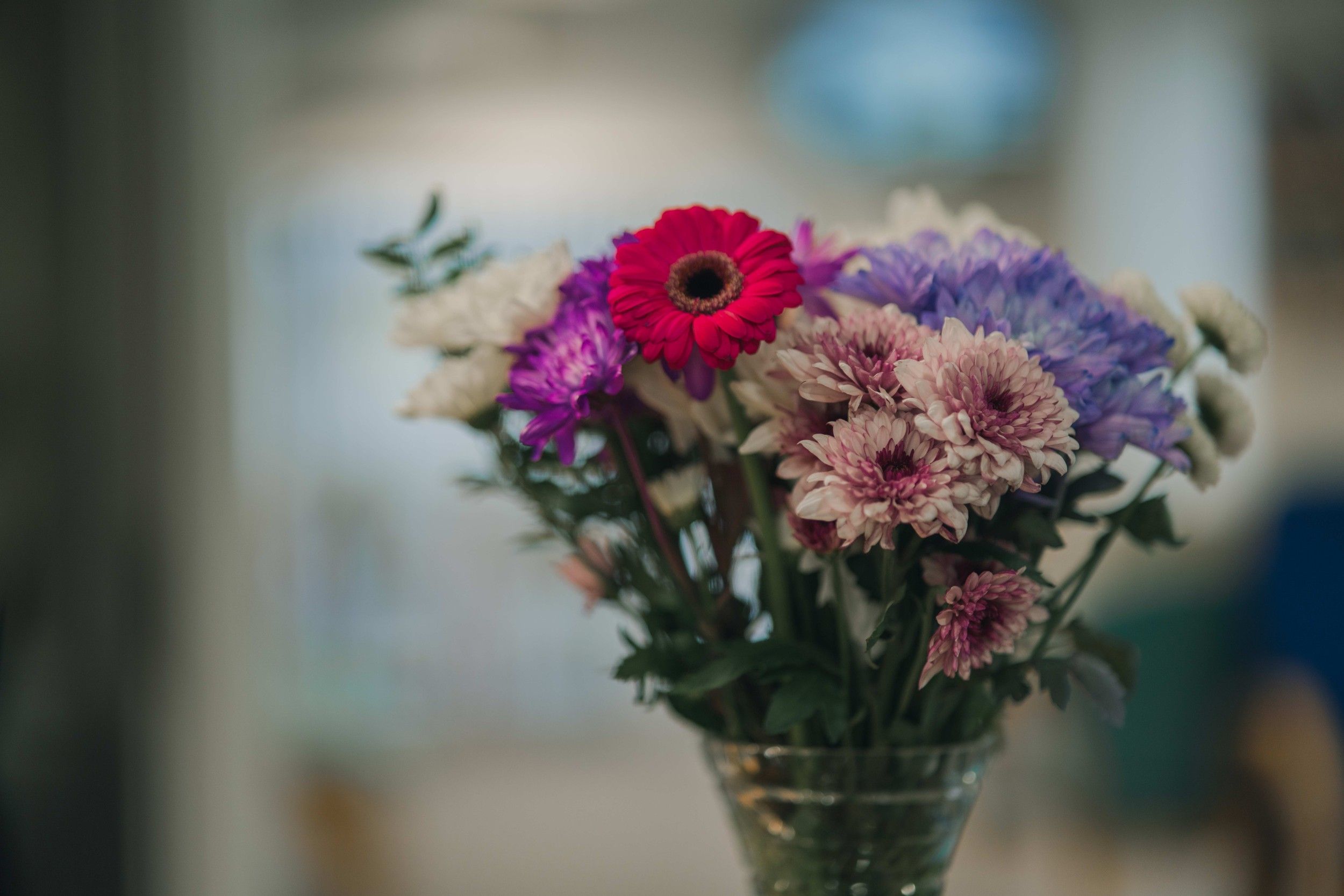 Dentists | Sturminster Newton | Sturminster Dental Care